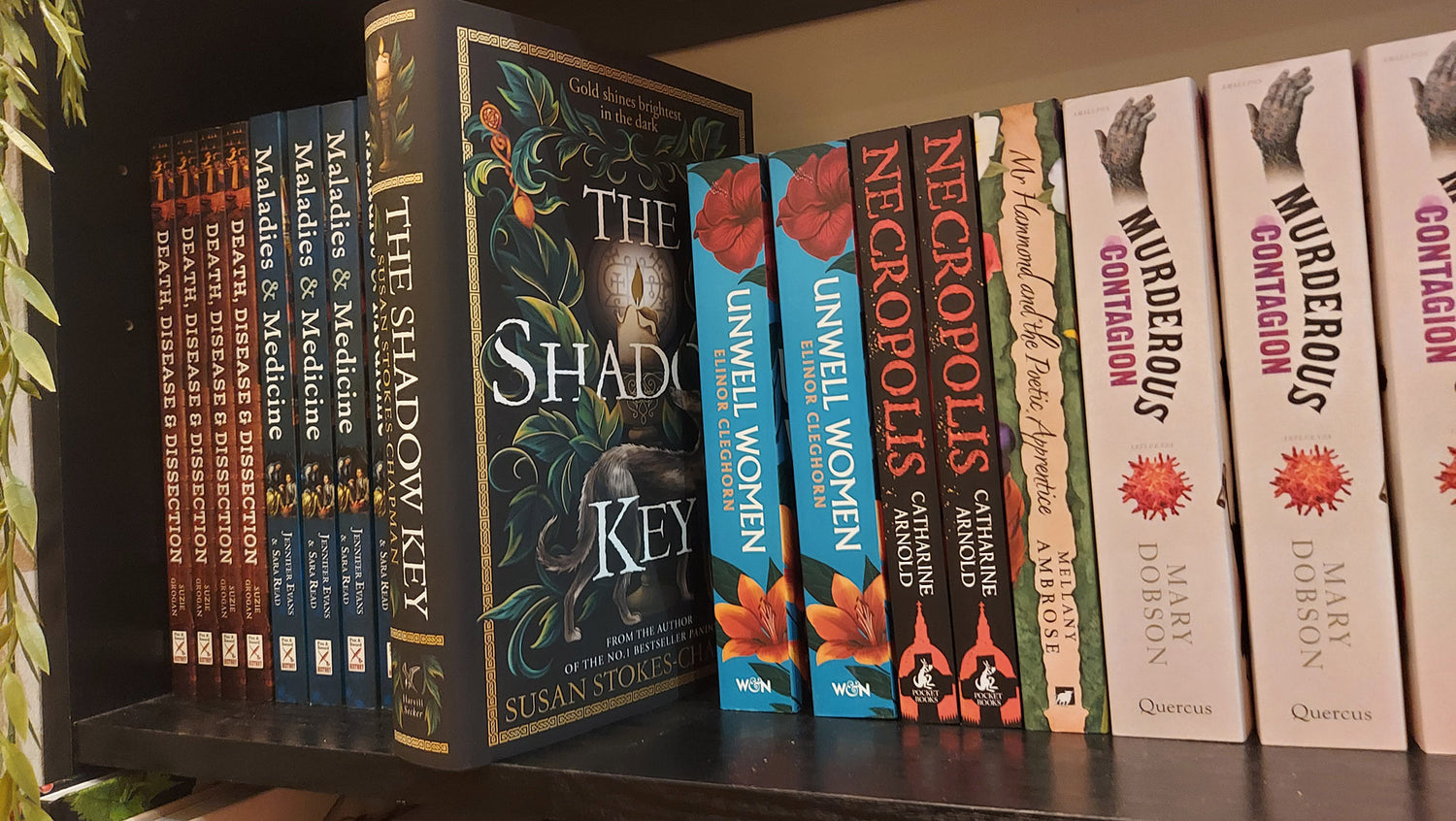The Shadow Key by Susan Stokes-Chapman – The Old Op Apothecary Shop