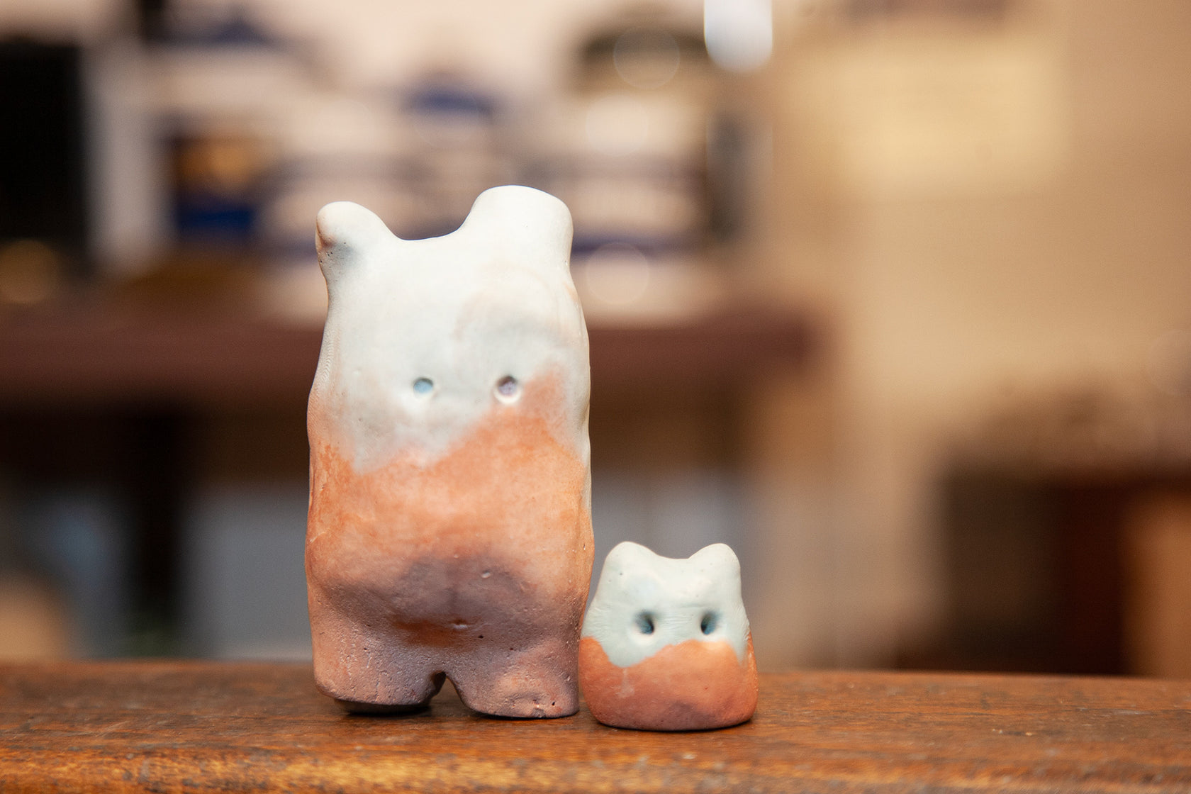 Worrywarts Elder – The Old Op Apothecary Shop