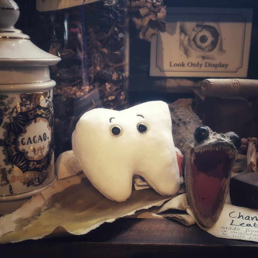 Giant Microbe: Tooth (Molar) – The Old Op Apothecary Shop